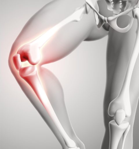 Dr Gerhard Pienaar | Orthopaedic Surgeon | Hip and Knee Surgery